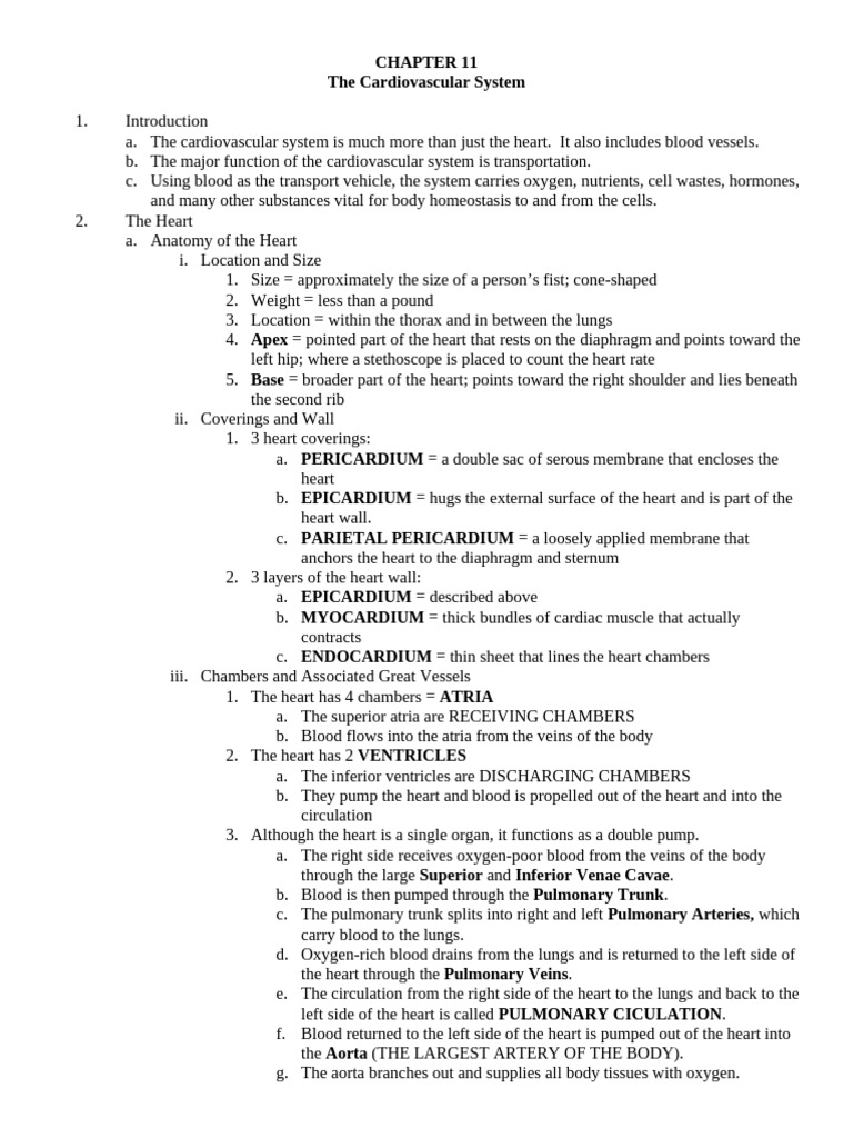 Chapter 11 Lecture Notes | PDF | Heart | Diastole