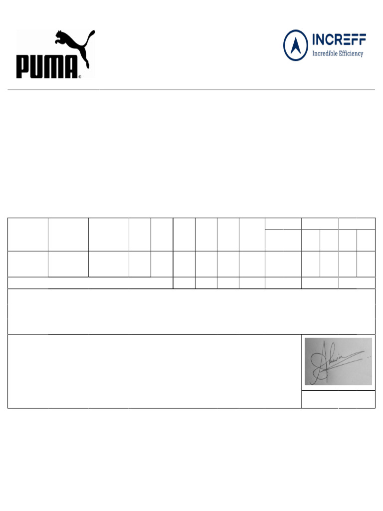 Invoice PUMA-1934553 | PDF | Taxation | Taxes