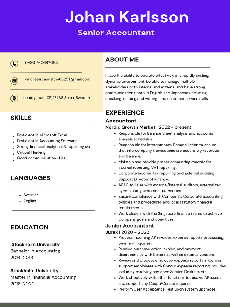Senior Accountant Profile - Skills & Experience | PDF | Accounting | Audit