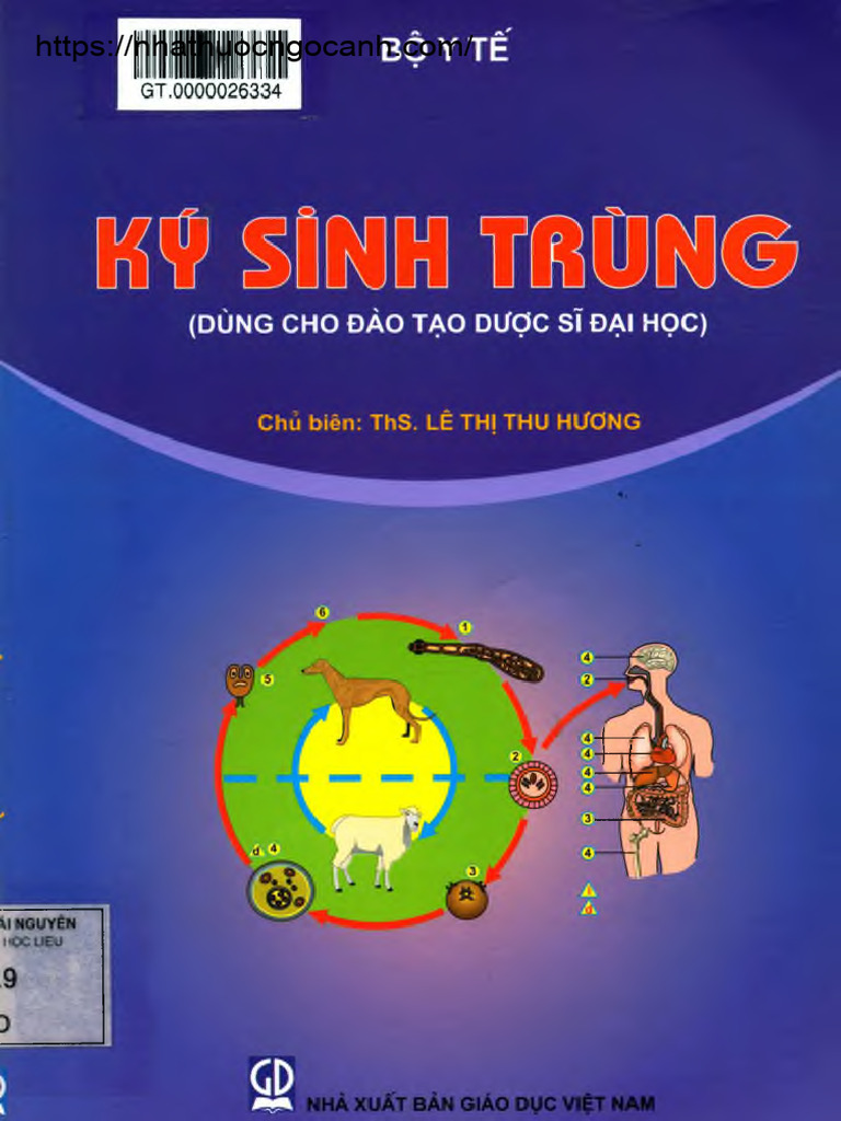 Kst ng văn đề | PDF