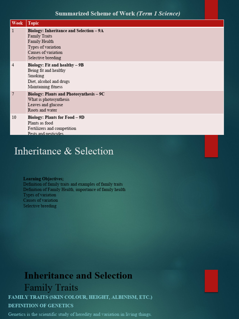 Inharitance Ans Selection | PDF | Photosynthesis | Leaf
