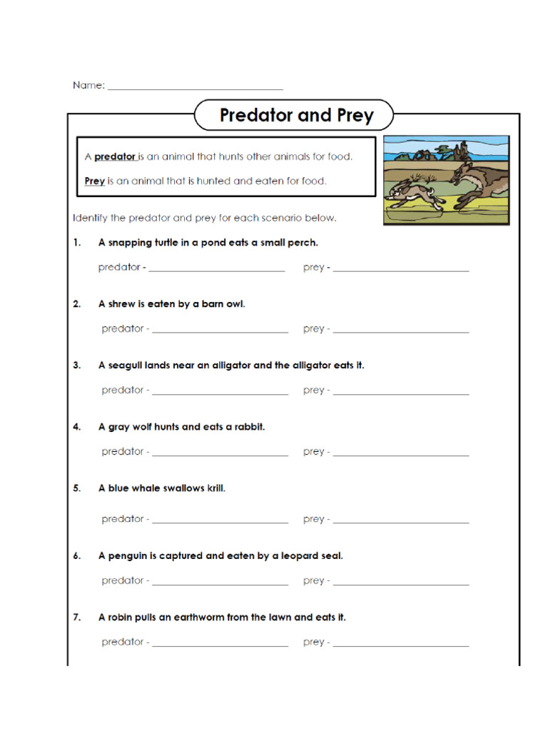 Predator and Prey Activity | PDF