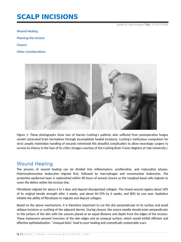 (Clinical) Scalp Incisions | PDF | Healing | Wound Healing