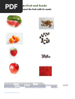 Strawberry Plant Anatomy for Kids | PDF | Fruit | Strawberry