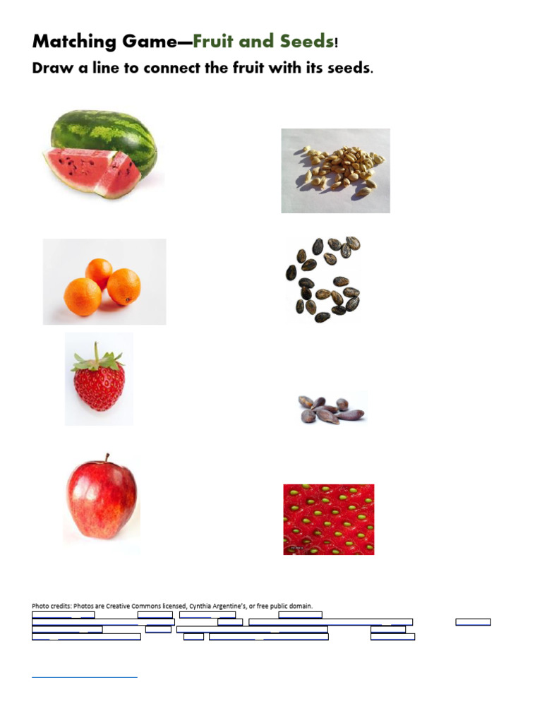 Fruit Flower Seed Matching Game | PDF | Creative Commons License | Fruit