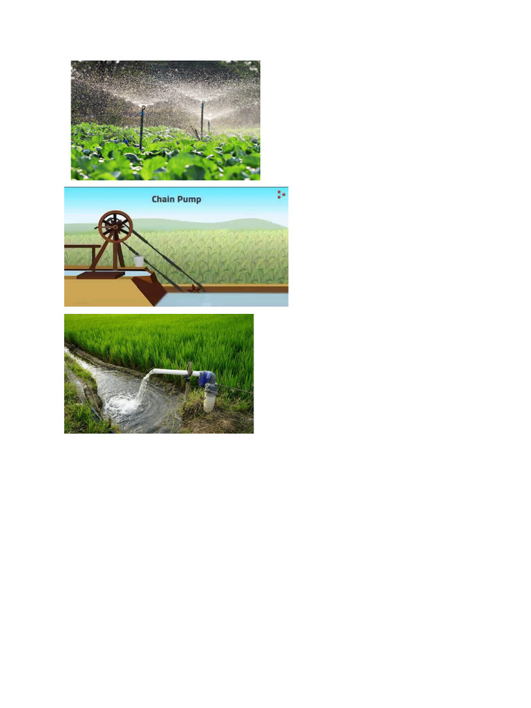 Traditional Irrigation | PDF