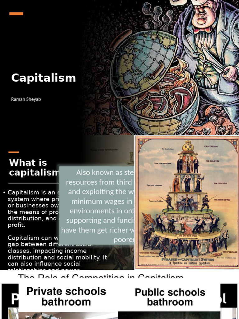 Capitalism | PDF