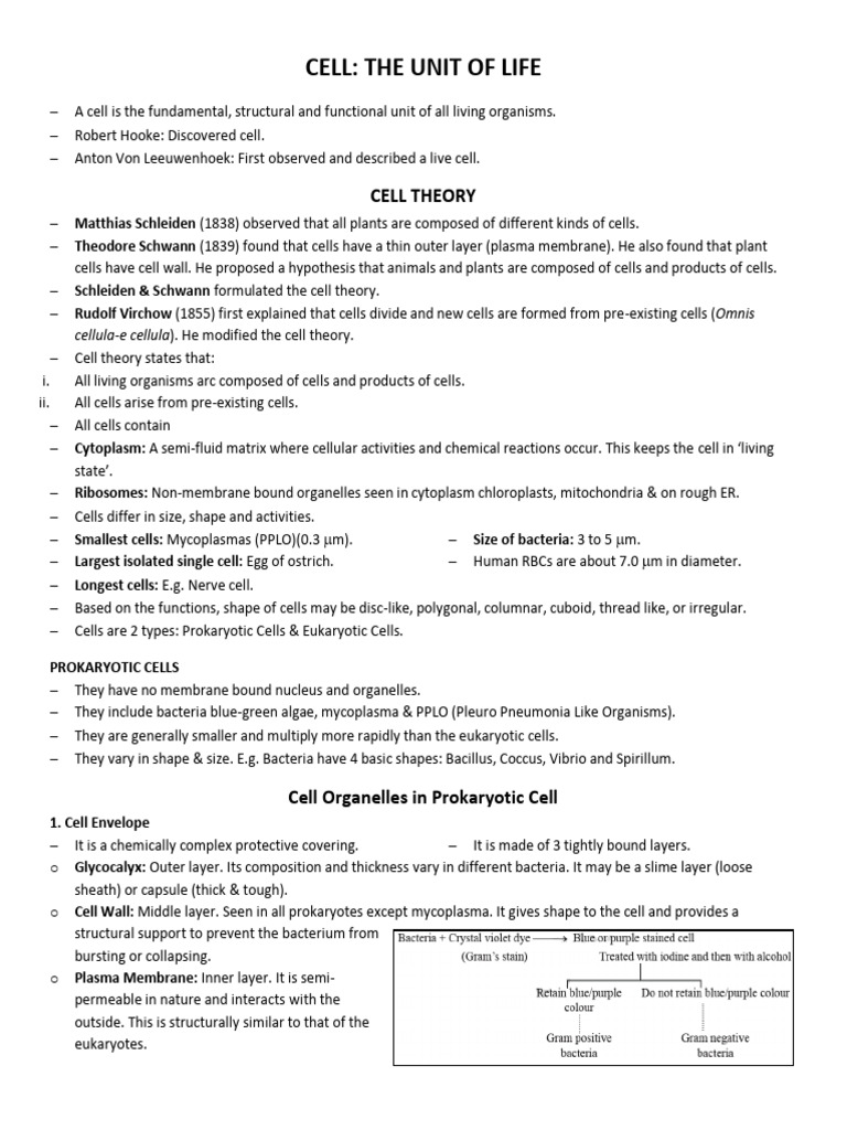 Cell Unit of Life | PDF | Cell (Biology) | Cell Membrane
