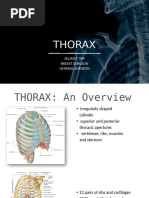 Costovertebral Angle Anatomy Overview | PDF | Vertebra | Vertebral Column