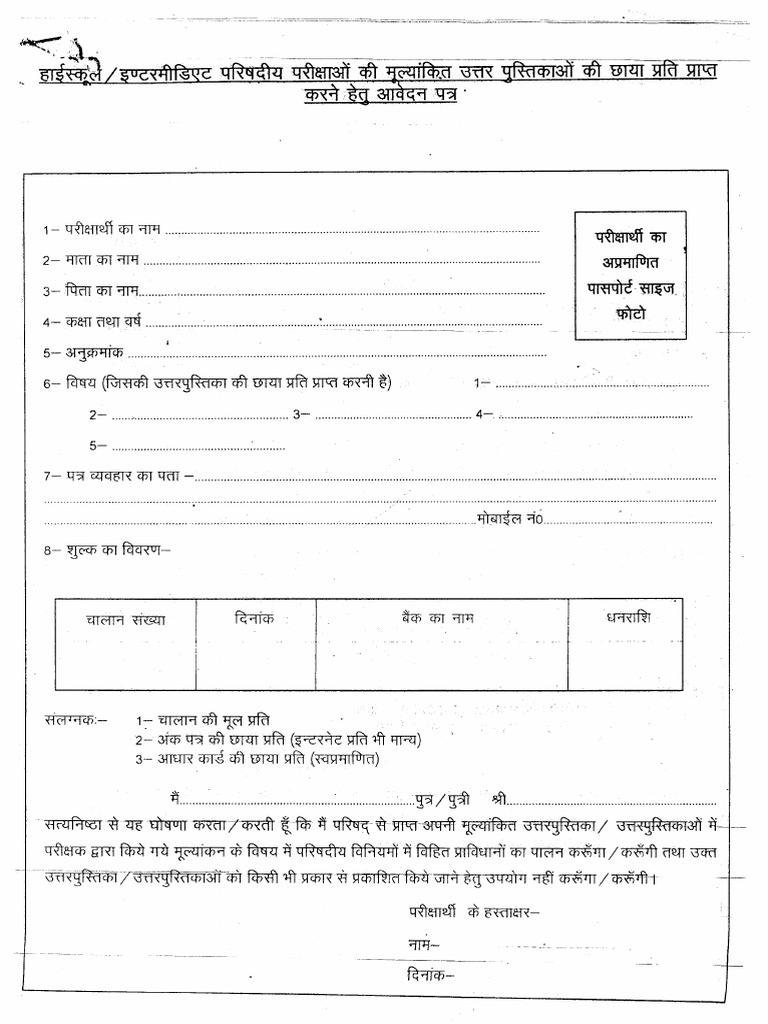 Scrutiny Application Form 2022 | PDF