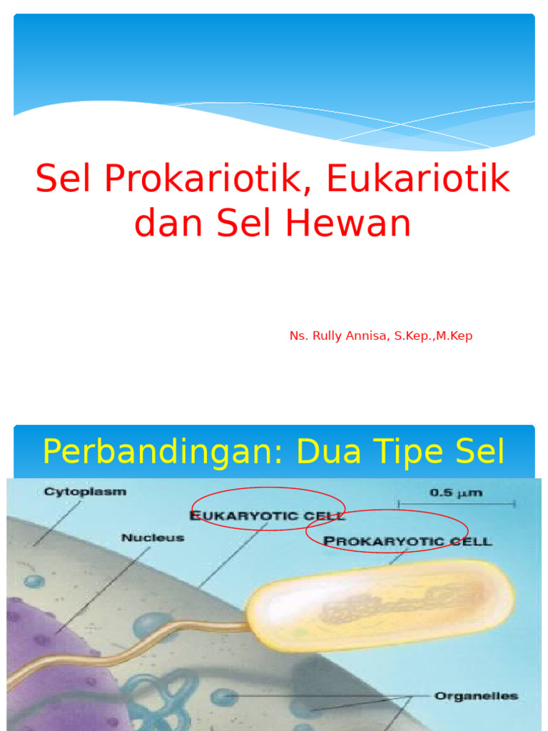 Sel Prokariotik - Eukariotik | PDF