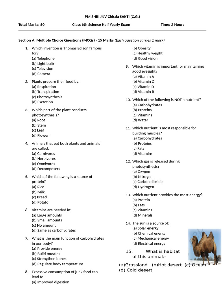 6th Science | PDF