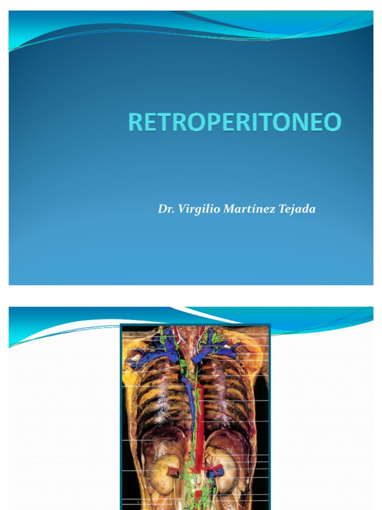 Anatomía Del Retroperitoneo | PDF | Hogar, jardinería y bricolaje