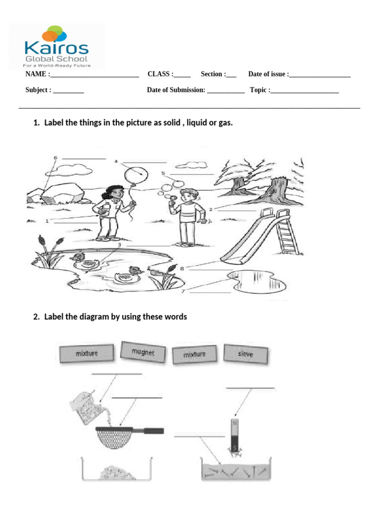 Grade 3 Science Worksheet | PDF