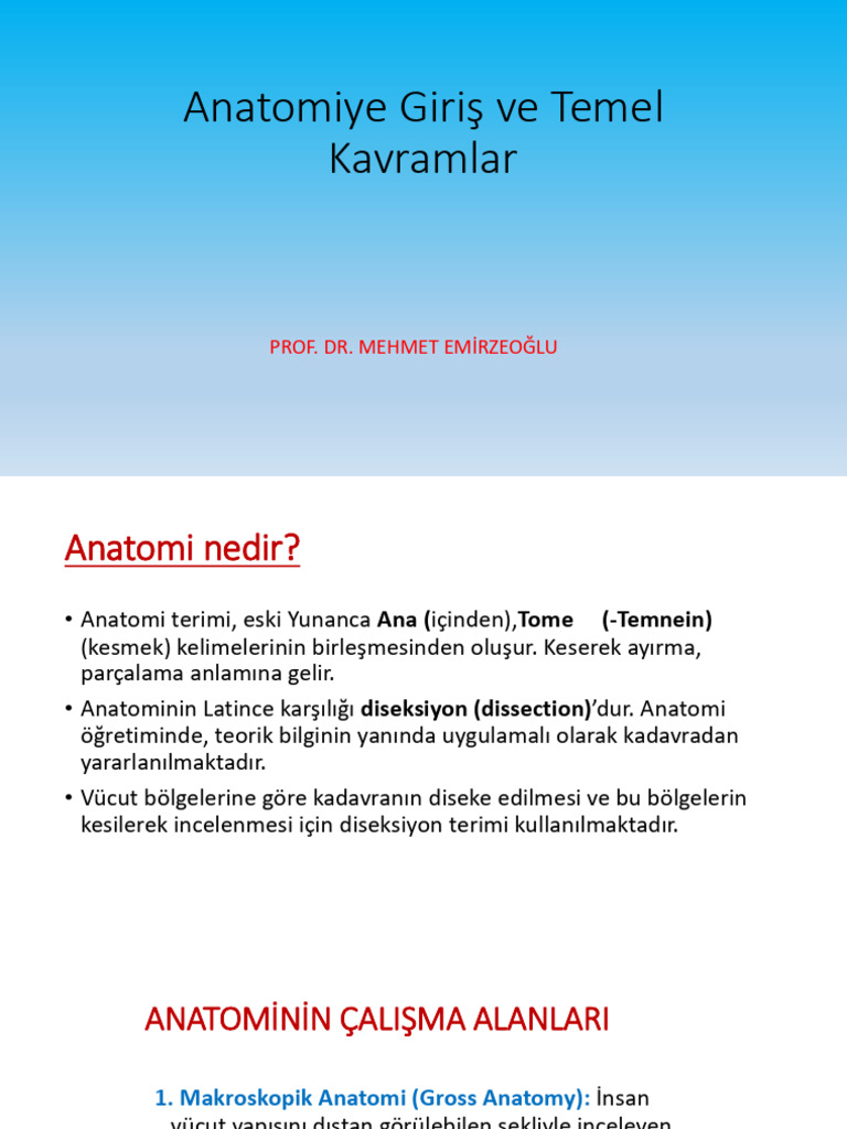 Anatomiye Giriş Ve Temel Kavramlar | PDF