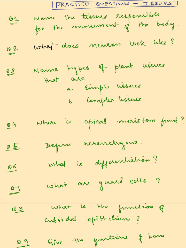 Bio Practice Questions | PDF