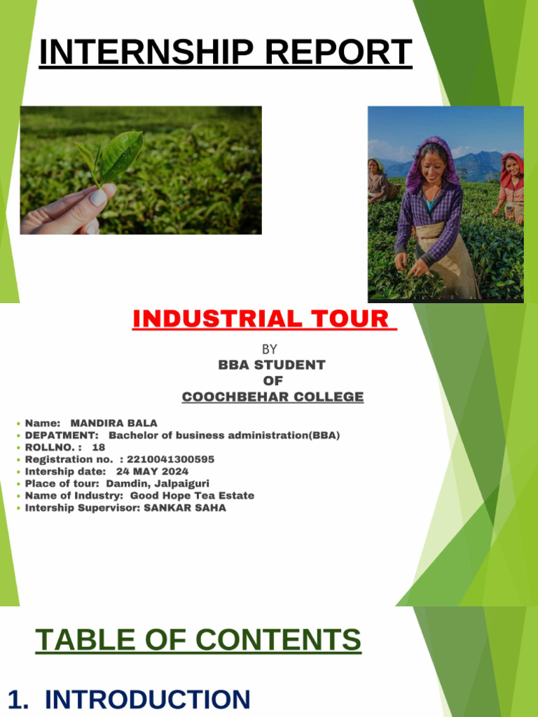 INTERNSHIP REPORT-3.pptx-compressed (1) | PDF