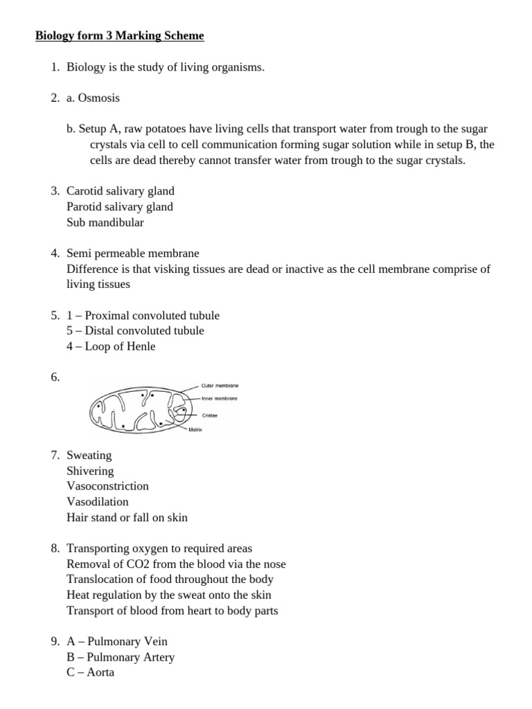 Biology Form 3 Marking Scheme | PDF | Exhalation | Breathing