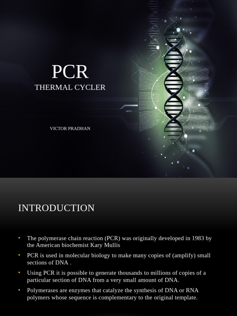 PCR_cutm | PDF | Polymerase Chain Reaction | Primer (Molecular Biology)