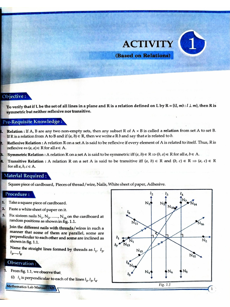 Maths Practical Class 12th | PDF