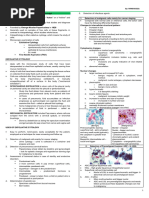 Intranuclear Pseudoinclusions in Cytology | PDF | Cytopathology | Cell ...