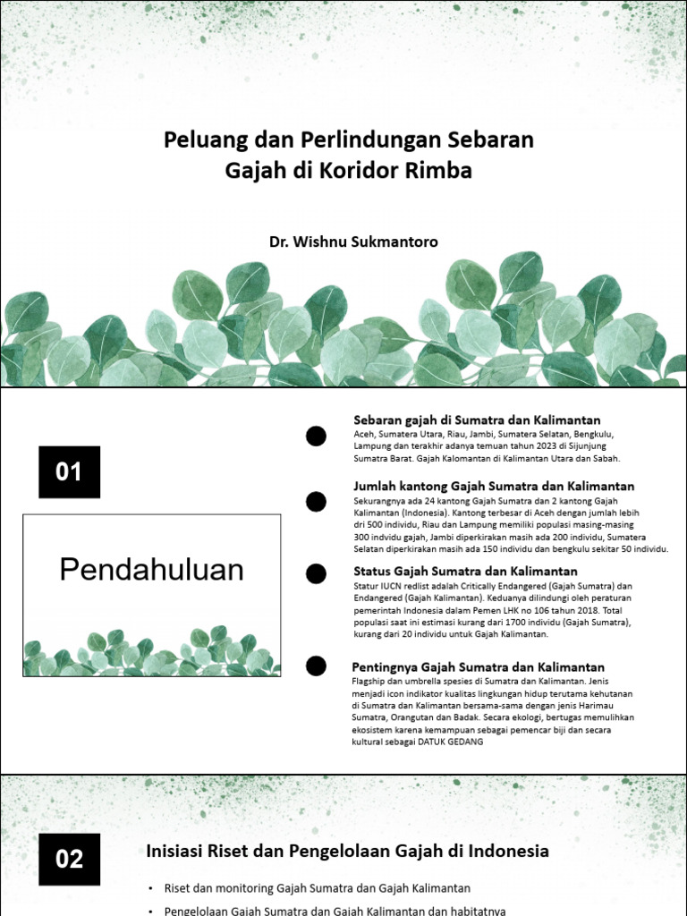 Sebaran Gajah Koridor Rimba | PDF