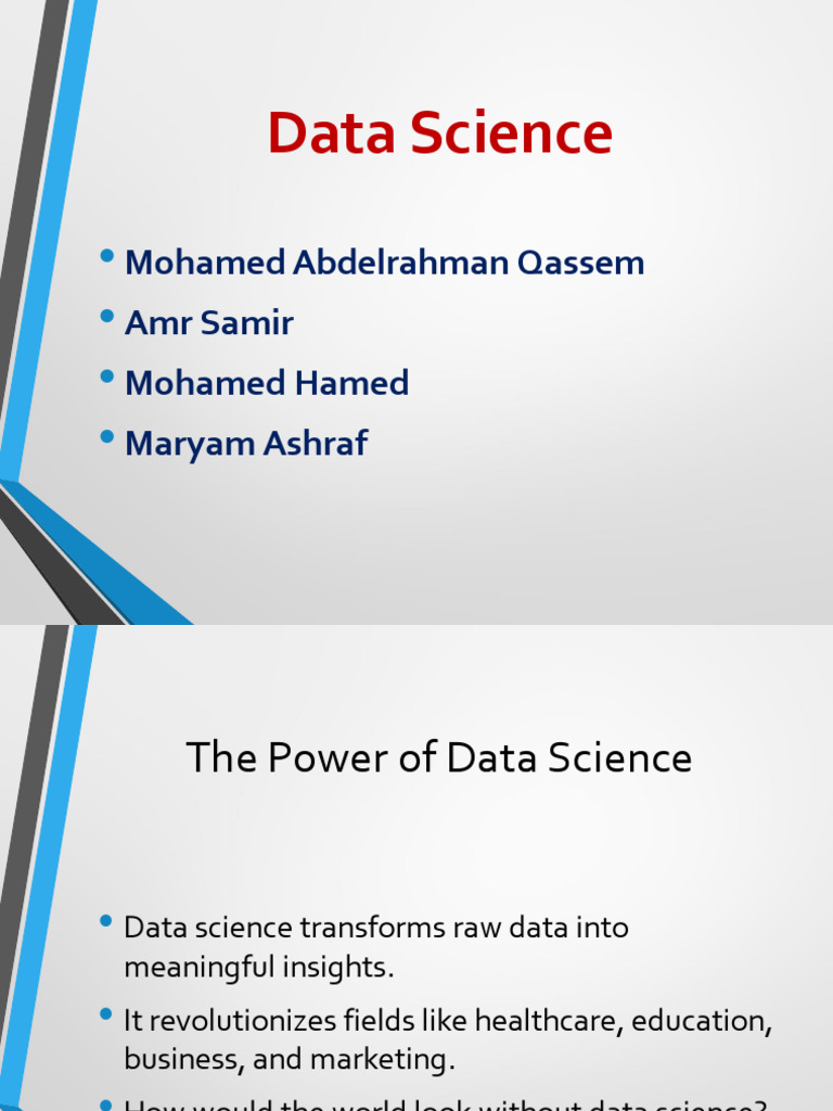 Data Scientist Presentation | PDF