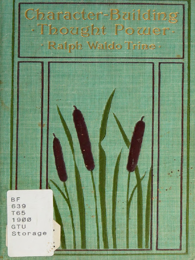 Character Build in 0000 Trin | PDF | Thought | Soul