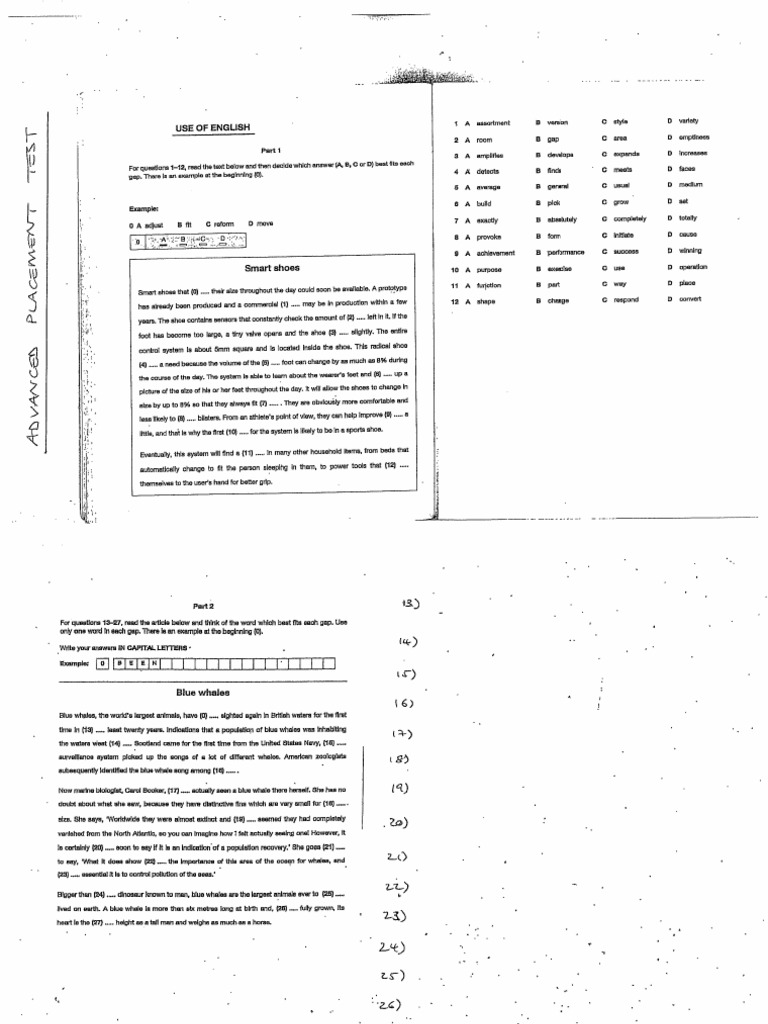 Level Test Cae Pdf