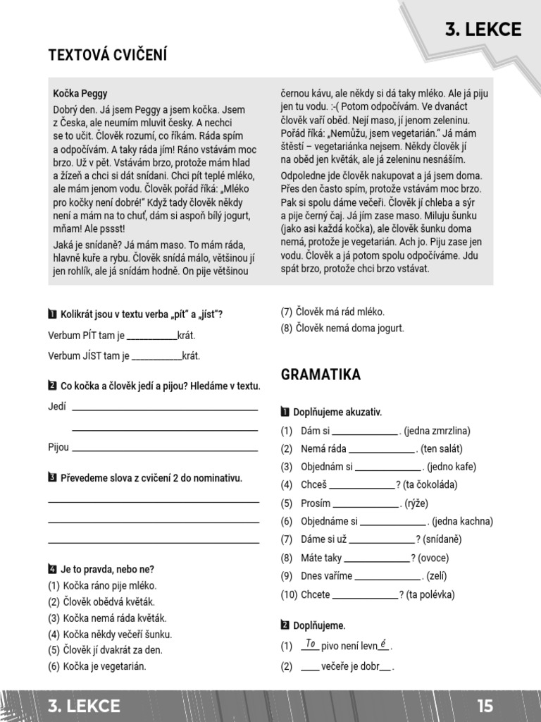 Czech It UP UKAZKY A1 CIU A1 WEB Cvicebnice LEKCE 3 | PDF