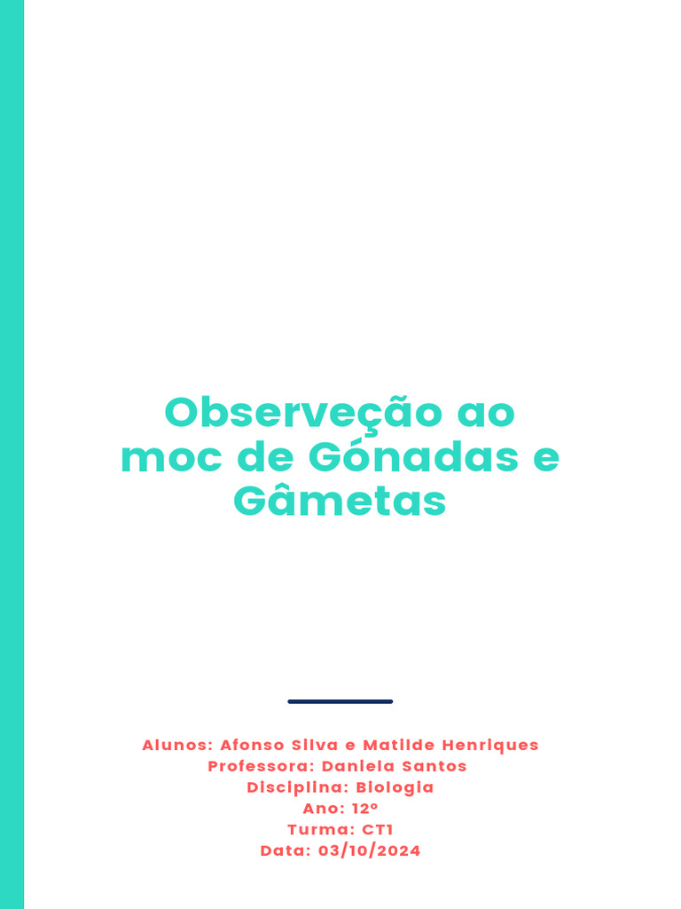 Verde Branco e Laranja Limpo e Estilo ONU Sociedade Civil Relatório de ...