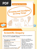 Branching Key Worksheet for Animals | PDF | Invertebrate | Zoology