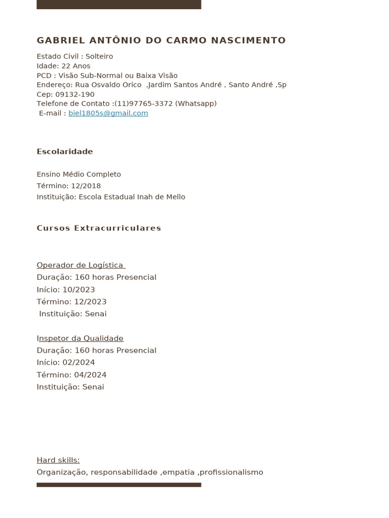 Curriculum Gabriel | PDF