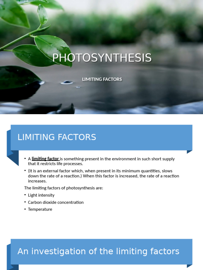 PHOTOSYNTHESIS Limiting Factors | PDF | Photosynthesis | Carbon Dioxide