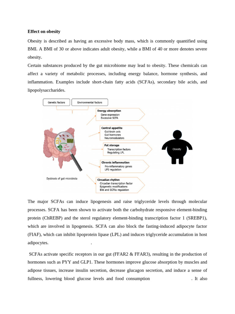 Effect On Obesity Final | PDF | Adipocyte | Biochemistry