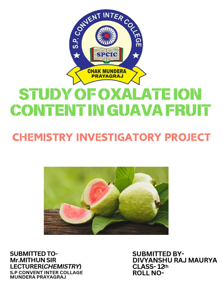 Chemistry Project Div Yanshu | PDF