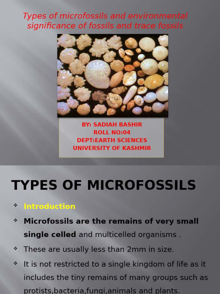 Microfossils: Types and Significance | PDF | Nature | Earth Sciences