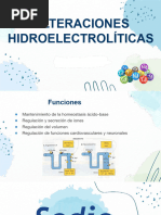 Principales Alteraciones Hidroelectrolíticas e Intervenciones de Enfermeria PDF | PDF | Sodio ...