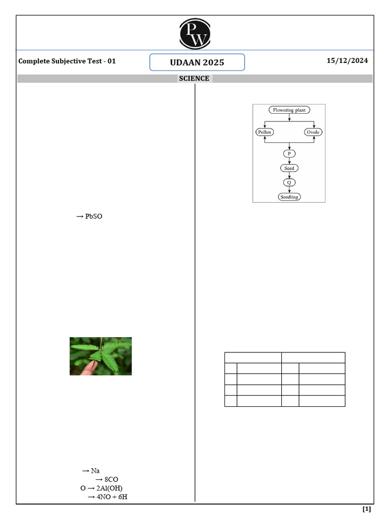 Complete Subjective Test 01 - Test Papers (With Solutions) - Udaan 2025 ...