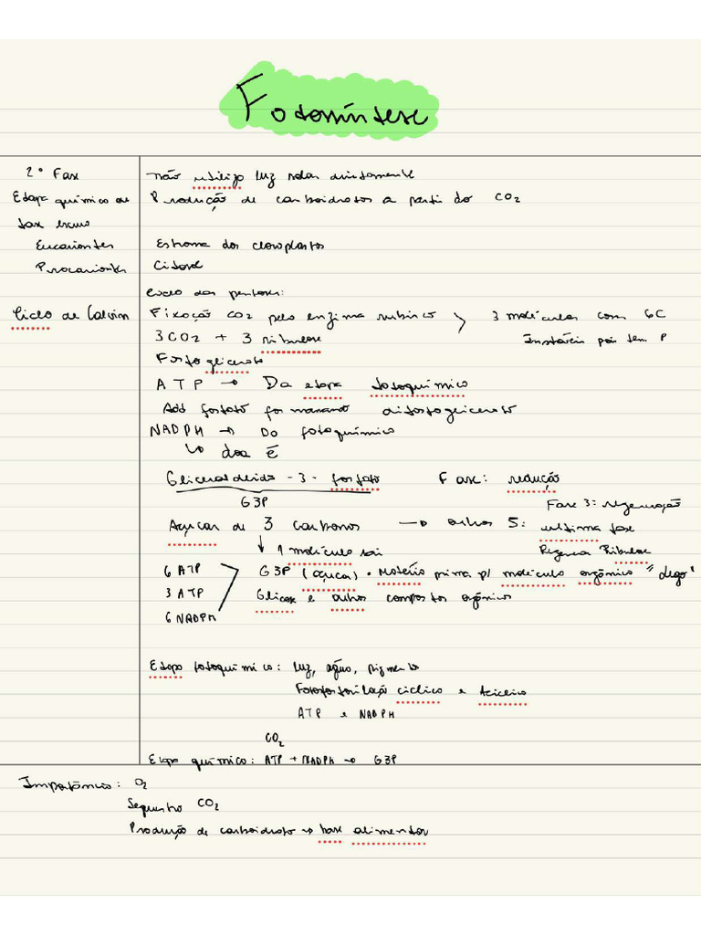 Fotossíntese Resumo v01. | PDF