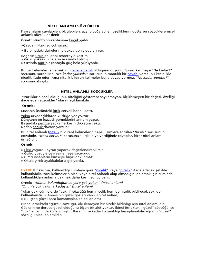 NİCEL NİTEL ANLAMLI SÖZCÜKLER (Otomatik Olarak Kaydedildi) | PDF