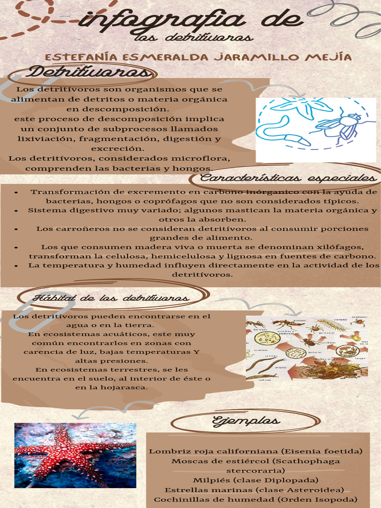 Detritívoros: Funciones y Hábitats | PDF