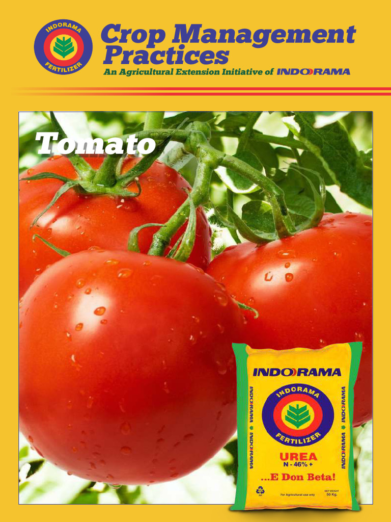 crop-practice-tomato | PDF | Tomato | Fertilizer