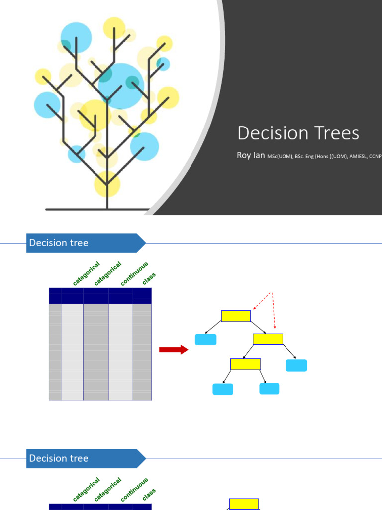 Decision Tree Algorithms Explained | PDF | Machine Learning ...