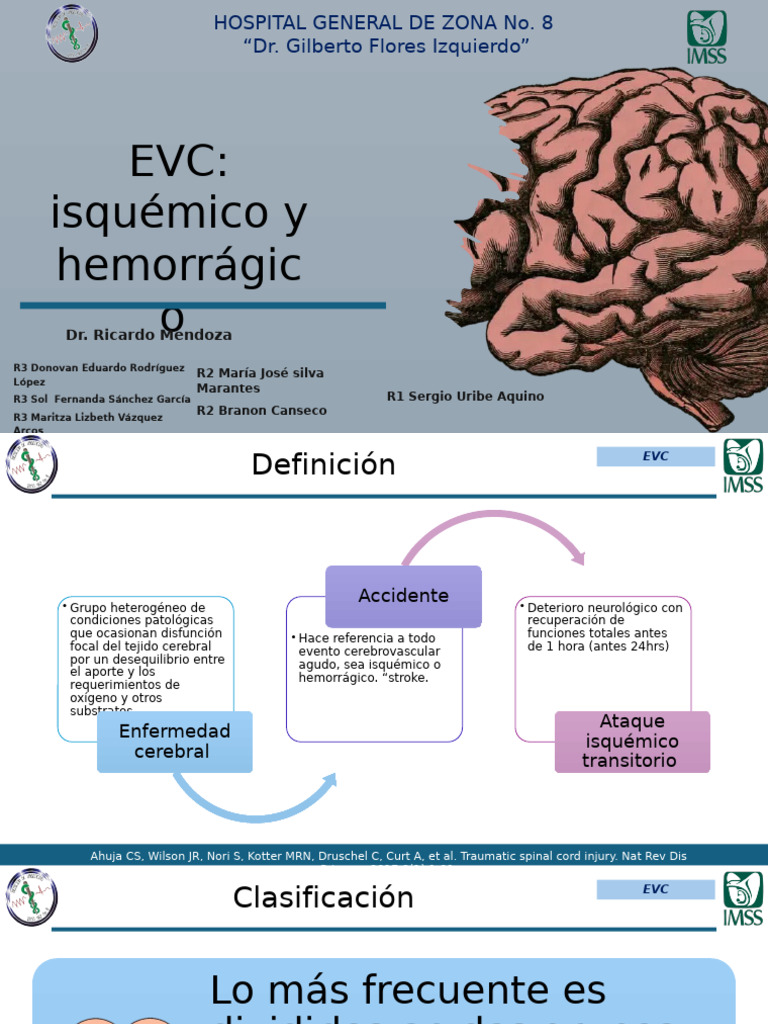Evc 2.1 | PDF | Carrera | Cerebro