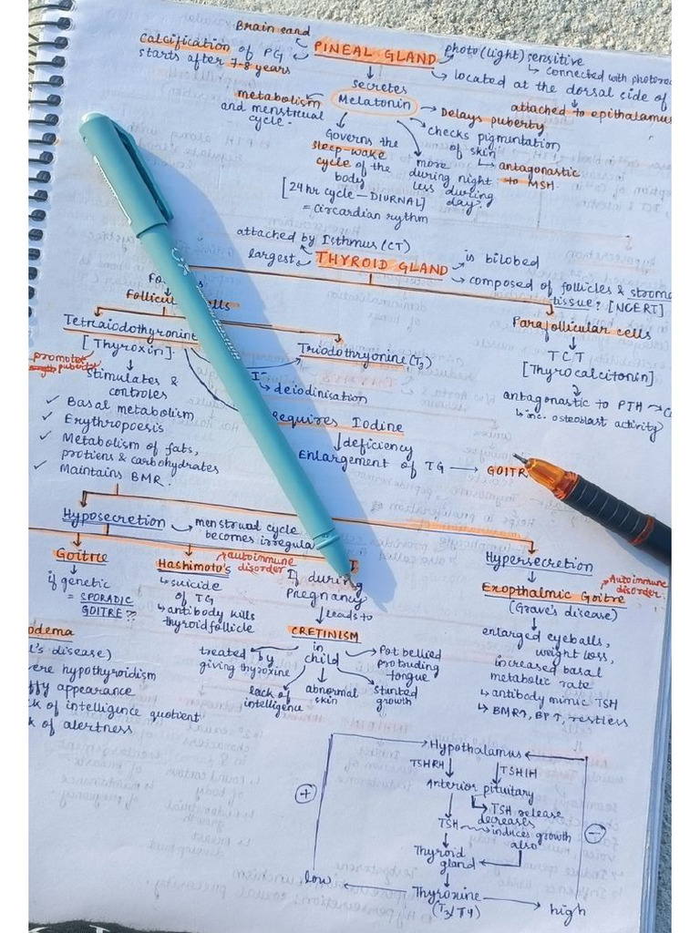 PDFReader 20241230 1923 | PDF