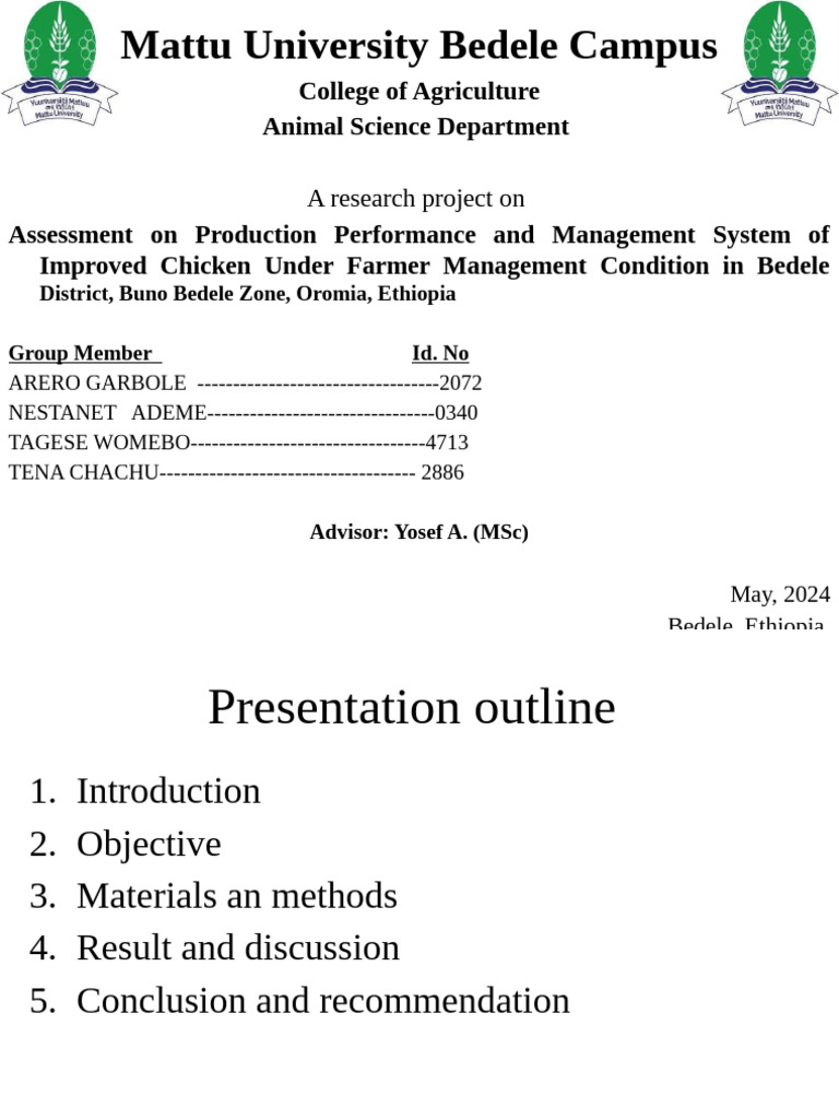 Chicken Production Study in Bedele, Ethiopia | PDF