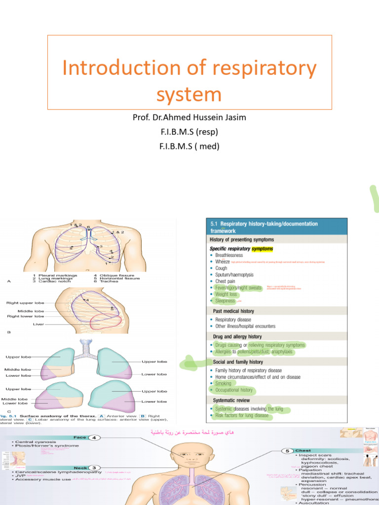 1 (2) Intro of Respiratory | PDF | Medical Imaging | Ct Scan