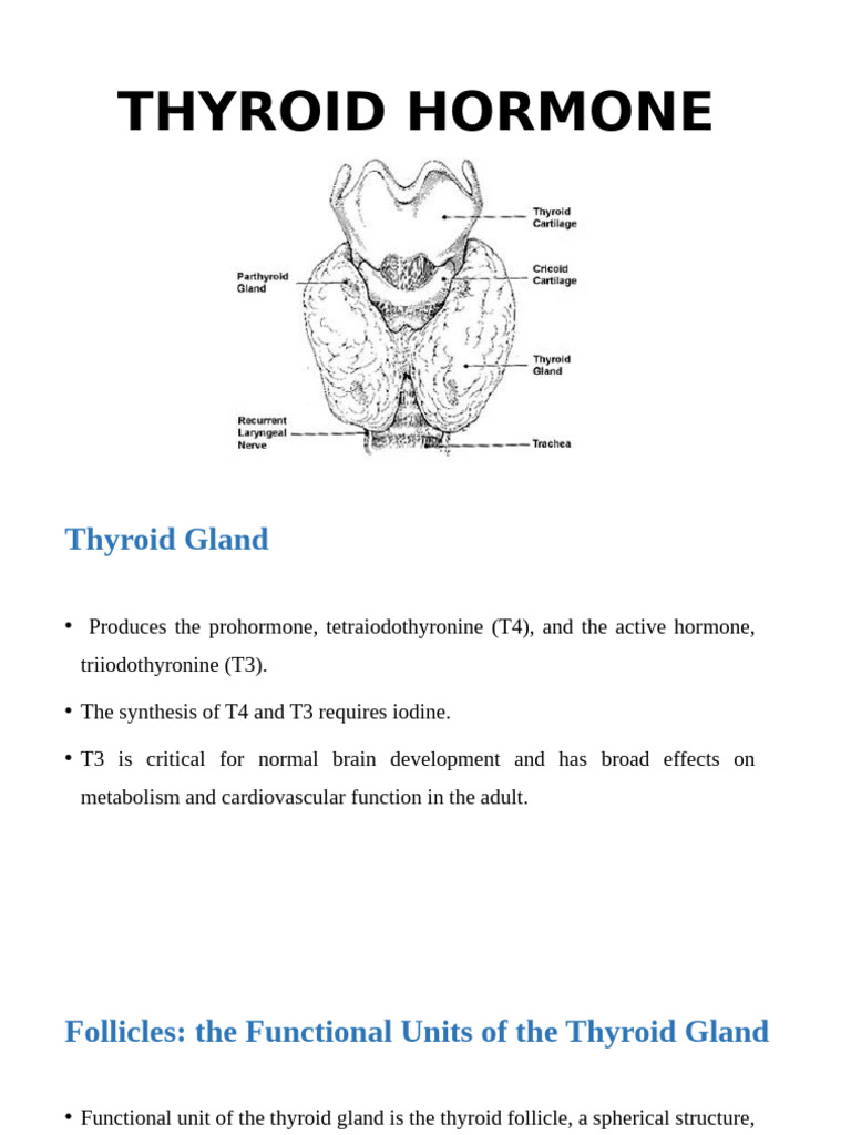 Thyroid Hormone Pdf Thyroid Thyroid Stimulating Hormone
