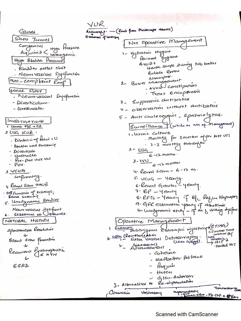 Urology Notes | PDF